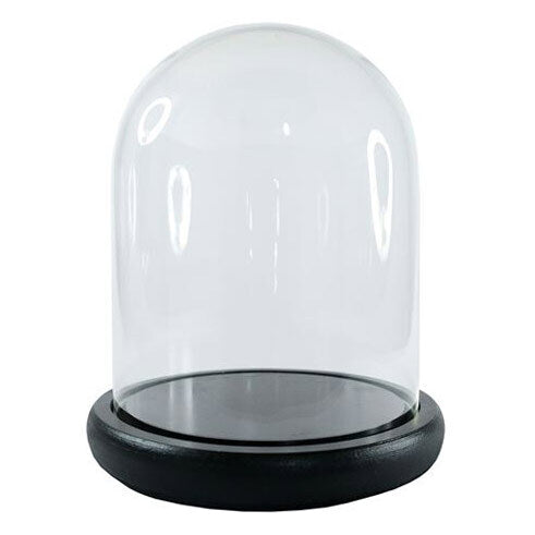 Kontax Stirling Engine Glass Display Dome w/ Base – Milbury Model Company